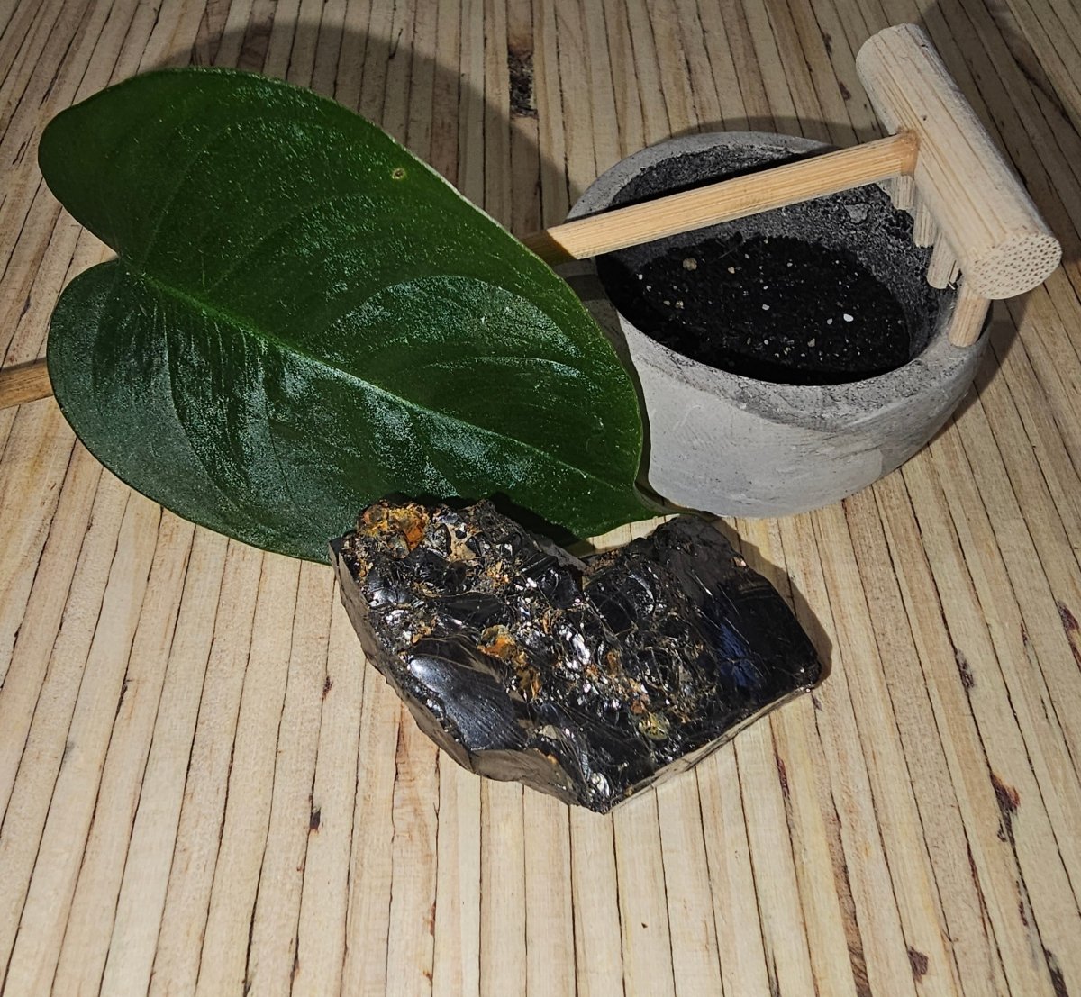 The Ultimate Shungite: Rare One-Piece Nugget - Abi Gamin (India ...
